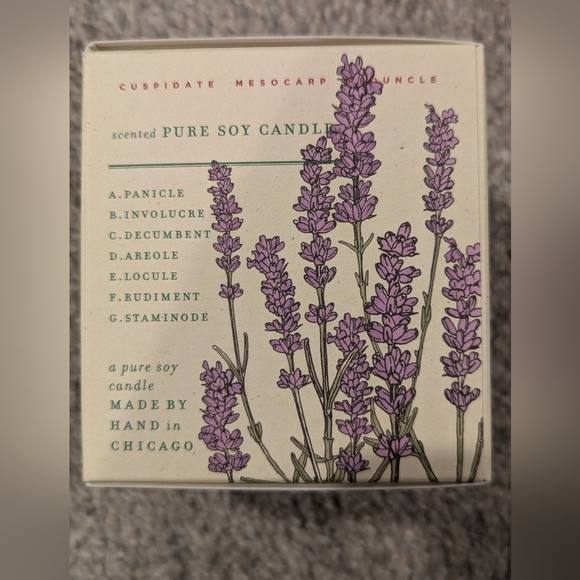 Ronny Kobo Collection | Bath & Body | Kobo Lavender Pure Soy Candle ...